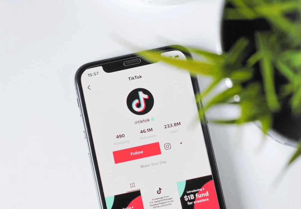 Top 300 Tiktok Hashtags To Gain More Likes Followers Top 300 Tiktok Hashtags To Gain More Likes Followers